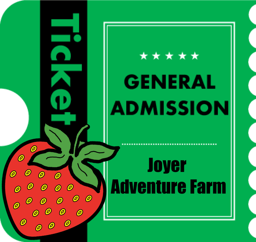 Sunflowers - Enjoy the Beauty of Sunflowers | Waldoch Farm